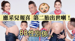 【BB性別係..】應采兒報喜 第二胎出世喇！ - MyBB