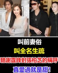叫前妻俗，叫全名生疏，聽謝霆鋒對張柏芝的稱呼，真愛過就是甜 - MyBB